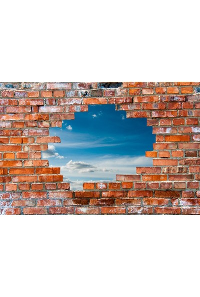 Cici Wallpaper 215 x 150 cm 3 Boyutlu Duvar Kağıdı Poster