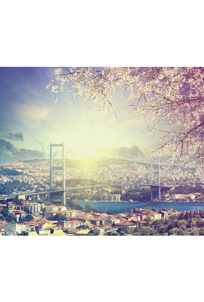 Cici Wallpaper 215 x 150 cm 3 Boyutlu Duvar Kağıdı Poster