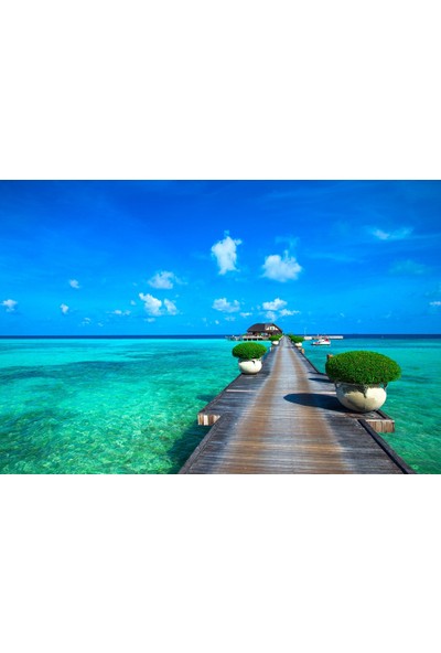 Cici Wallpaper 215 x 150 cm 3 Boyutlu Duvar Kağıdı Poster