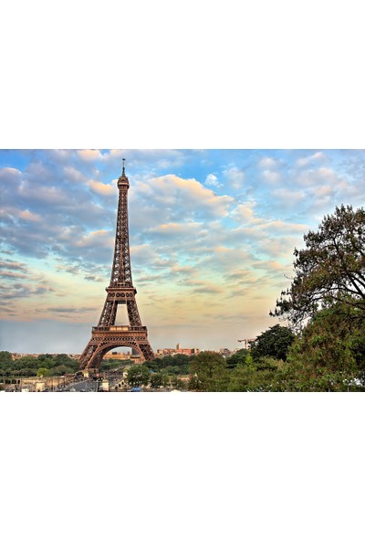 Cici Wallpaper 215 x 150 cm 3 Boyutlu Duvar Kağıdı Poster