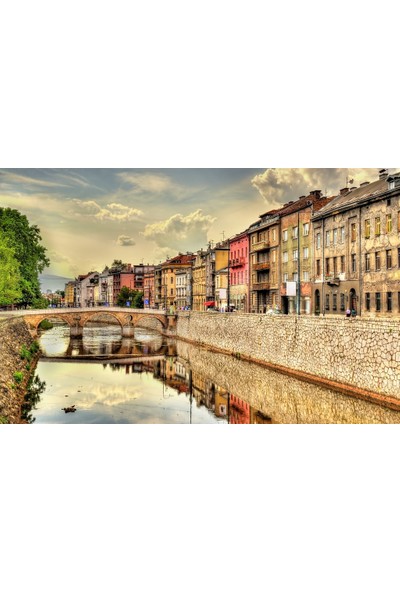 Cici Wallpaper 215 x 150 cm 3 Boyutlu Duvar Kağıdı Poster