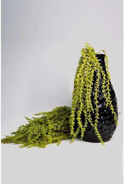 Lilac Yapay Salkım Söğüt