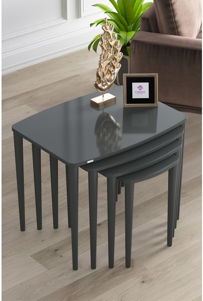 Canisa Concept Telwe Serisi Üst Kalite Mdf 4lü Zigon Sehpa Takımı Antrasit