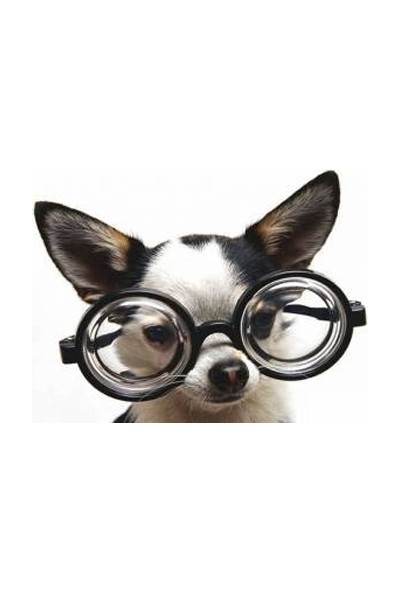 Ufuk Şaka Oyunları Merkezi Parti Pikopat Parti Gözlüğü1