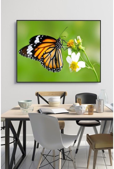 Saban 60 x 70 cm Model 67 Desenli Cam Tablo 4 mm Temperli Camdır