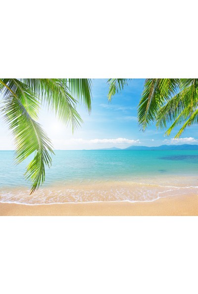 Cici Wallpaper 215 x 150 cm 3 Boyutlu Duvar Kağıdı Poster