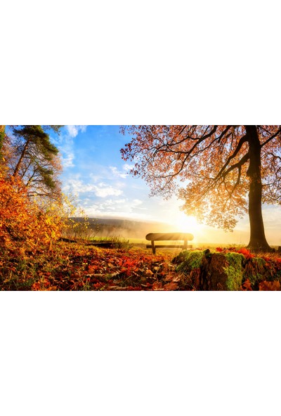 Cici Wallpaper 215 x 150 cm 3 Boyutlu Duvar Kağıdı Poster