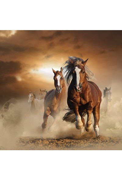 Cici Wallpaper 215 x 150 cm 3 Boyutlu Duvar Kağıdı Poster