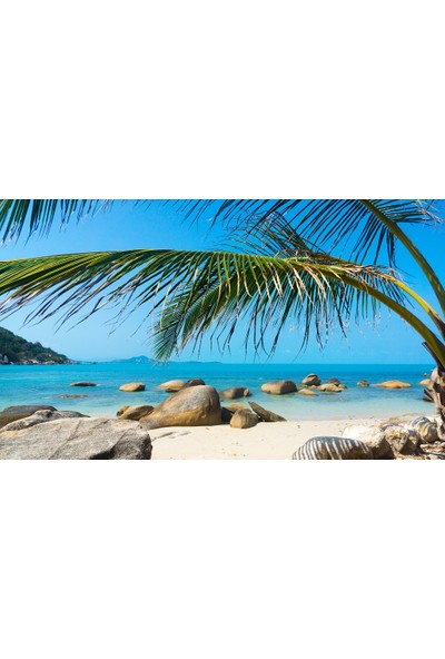 Cici Wallpaper 215 x 150 cm 3 Boyutlu Duvar Kağıdı Poster