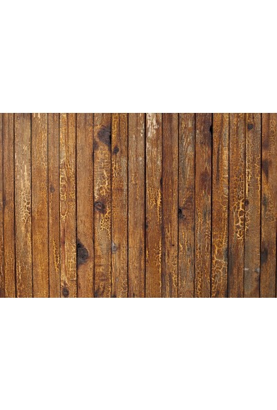 Cici Wallpaper 215 x 150 cm 3 Boyutlu Duvar Kağıdı Poster