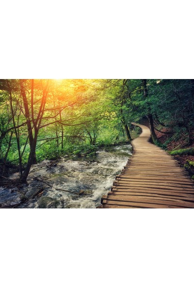 Cici Wallpaper 215 x 150 cm 3 Boyutlu Duvar Kağıdı Poster