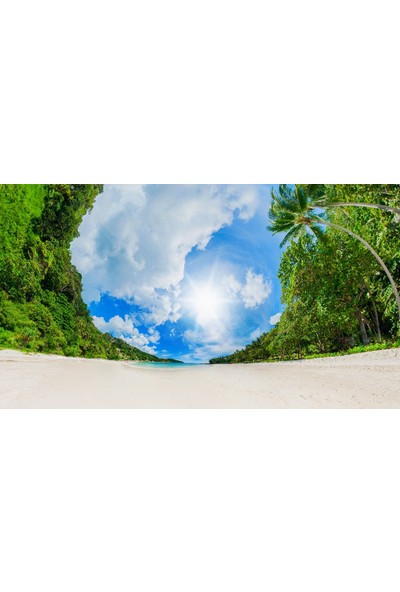 Cici Wallpaper 215 x 150 cm 3 Boyutlu Duvar Kağıdı Poster