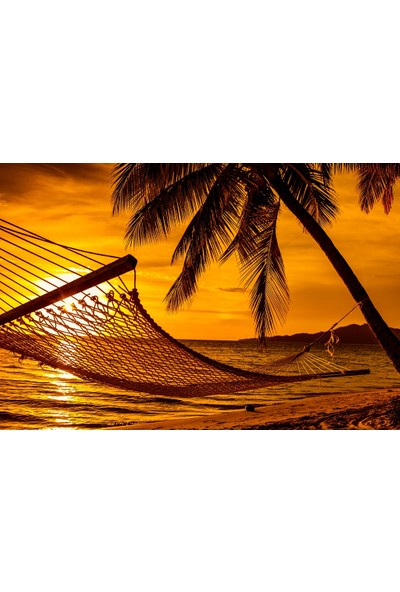 Cici Wallpaper 215 x 150 cm 3 Boyutlu Duvar Kağıdı Poster