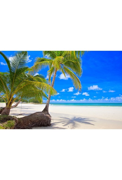 Cici Wallpaper 215 x 150 cm 3 Boyutlu Duvar Kağıdı Poster