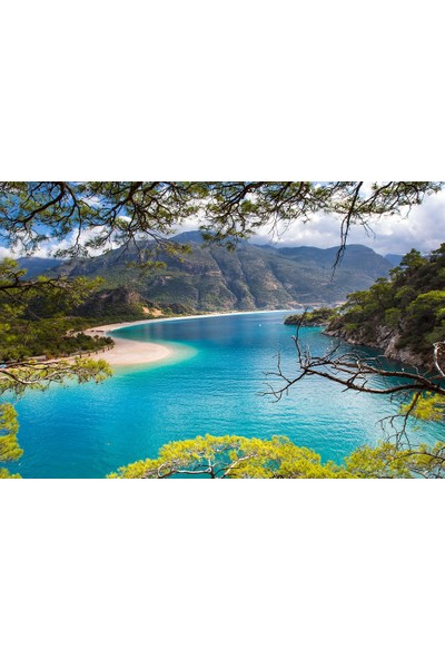 Cici Wallpaper 215 x 150 cm 3 Boyutlu Duvar Kağıdı Poster