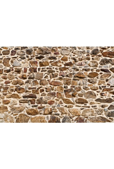 Cici Wallpaper 215 x 150 cm 3 Boyutlu Duvar Kağıdı Poster