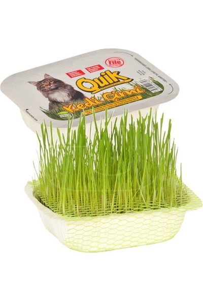 Quik Gerçek Topraklı Kedi Çimi