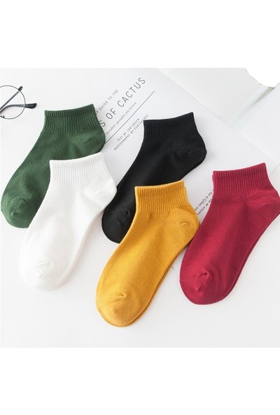 Bgk 5'li Kadın Renkli Kısa Patik Çorap
