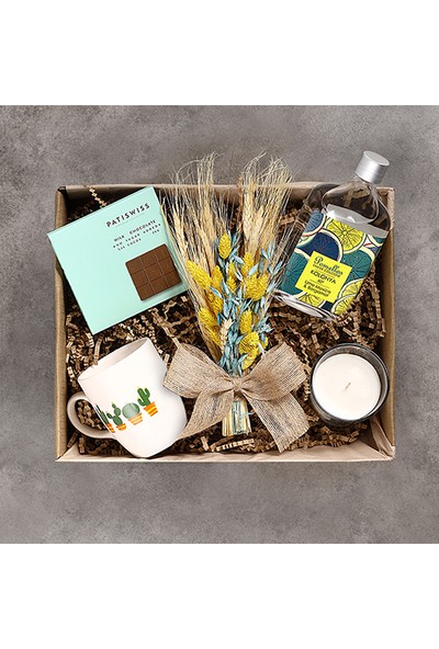 Deepwell Kaktüs Kupa Çiçek Demeti Çikolata Mum Hediye Seti