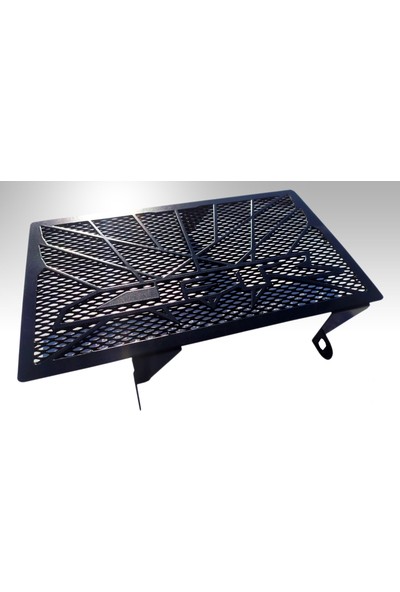 Steon Honda Cbr 250R Radyatör Koruma Steon Honda Cbr 250R Radyatör Koruma