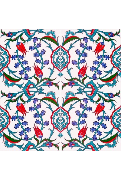 Kütahya Çini Yapı Tasarım AC05 20X20 cm Çini Karo