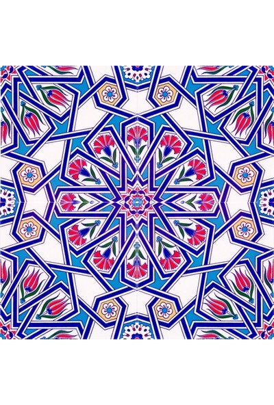 Kütahya Çini Yapı Tasarım AC17 20X20 cm Çini Karo