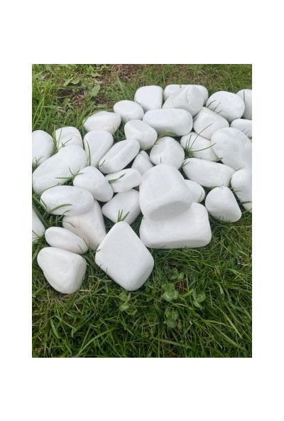 Elysian Beyaz Dolomit Taş 5 kg 4-8 cm Peyzaj Taşı Dekoratif Akvaryum Bahçe Süs Taşları Saksı Taşı