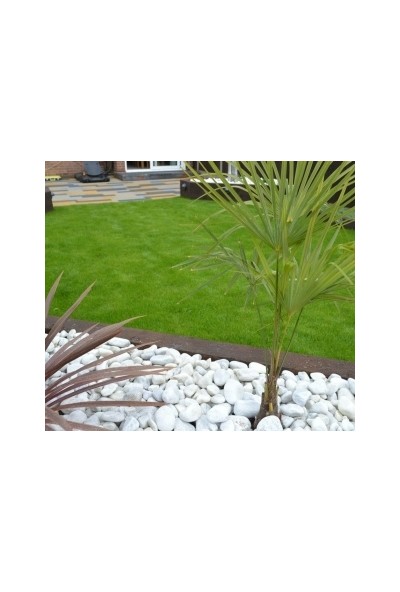 Elysian Beyaz Dolomit Taş 10 kg 4-8 cm Peyzaj Taşı Dekoratif Akvaryum Bahçe Süs Taşları Saksı Taşı