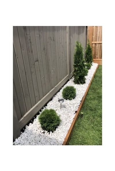 Elysian Beyaz Dolomit Taş 25 kg 4-8 cm Peyzaj Taşı Dekoratif Akvaryum Bahçe Süs Taşları Saksı Taşı Elysian Beyaz Dolomit Taş 25 kg 4-8 cm Peyzaj Taşı Dekoratif Akvaryum Bahçe Süs Taşları Saksı Taşı