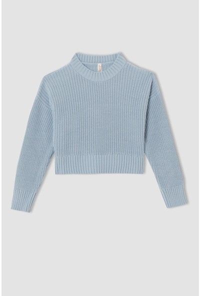 DeFacto Kız Çocuk Regular Fit Boğazlı Yarım Balıkçı Yaka Crop Basic Triko Kazak U6191A621AU DeFacto Kız Çocuk Regular Fit Boğazlı Yarım Balıkçı Yaka Crop Basic Triko Kazak U6191A621AU