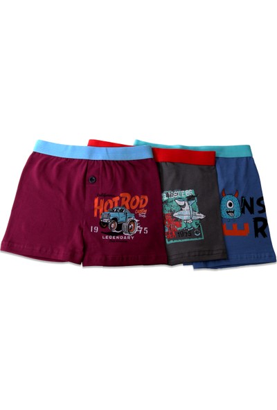 Cnt Erkek Çocuk Çok Renkli Boxer 3'lü Paket