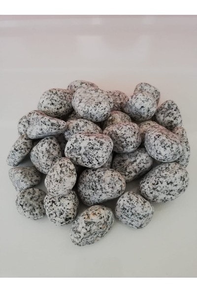 Badem Akvaryum Siyah Noktalı Beyaz Dolamit Taşı Akvaryum Taşı Dekor 5 kg Badem Akvaryum Siyah Noktalı Beyaz Dolamit Taşı Akvaryum Taşı Dekor 5 kg