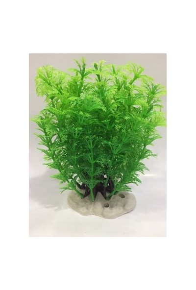 Canlı Petshop Plastik Bitki 12 cm Aromatica Canlı Petshop Plastik Bitki 12 cm Aromatica