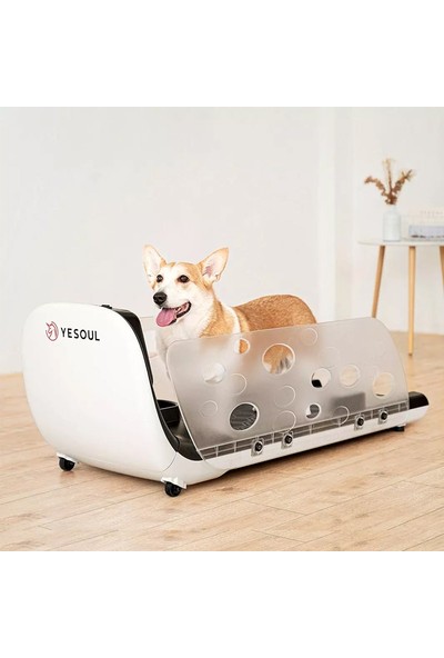 Yesoul Xiaomi Yesoul Q1 Smart Evcil Hayvan Koşu Bandı Yesoul Xiaomi Yesoul Q1 Smart Evcil Hayvan Koşu Bandı