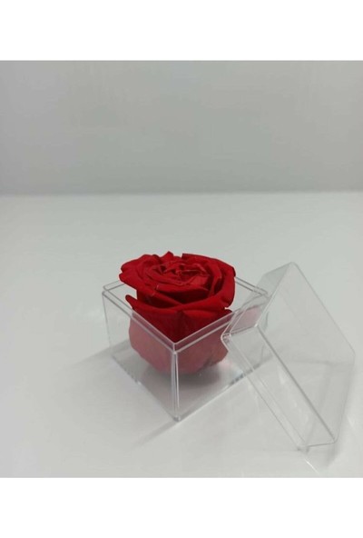 Kırmızı Solmayan Gül Kırmızı Solmayan Gül