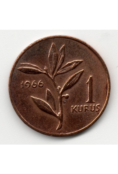 Benim Koleksiyonum 1 Kuruş (1966) Çil Eski Madeni Para