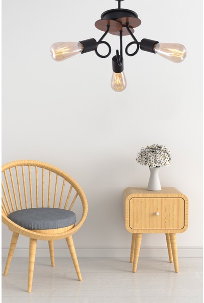 Begüsa Aydinç 3'lü Siyah Ceviz