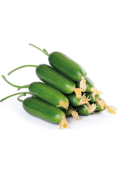 Mevsiminde Gelsin Doğal Salatalık