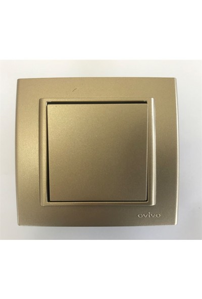 Çağatay Elektrik Çağatayelektrik Ovivo Mina Titanyum Anahtar Mekanizma+Çerçeve