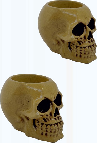 Bortaş Kurukafa Kalemlik 2'li