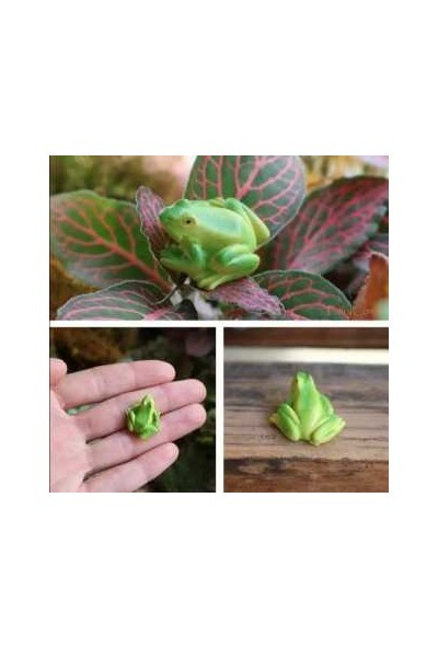 Himi Teraryum Objeleri 2'li Minik Kurbağa Teraryum Obje Minyatür Obje Teraryum