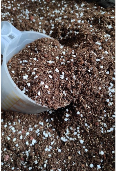 Toptan Kaktüs 5 Litre Kaktüs Toprağı