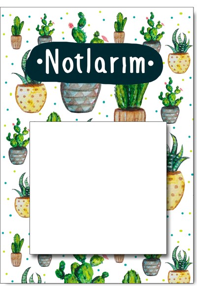 Fatofotofan Kaktüslü Notluk Buzdolabı Magneti Fatofotofan Kaktüslü Notluk Buzdolabı Magneti