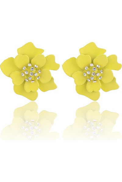 Lifeenjoy Kadın Kulak Küpesi (Yurt Dışından) Lifeenjoy Kadın Kulak Küpesi (Yurt Dışından)