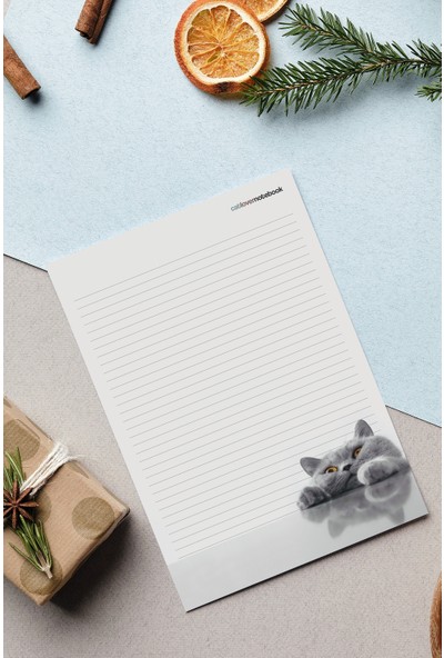 Dora Hobi A5 Kedili Scottish Fold Temalı Not Defteri 50 Yaprak Dora Hobi A5 Kedili Scottish Fold Temalı Not Defteri 50 Yaprak