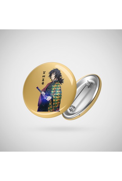 Fizello Giyu Tomioka Rozet Fizello Giyu Tomioka Rozet