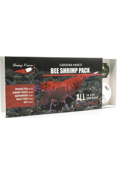 Prize Caridina Sp Starter Pack Prize Caridina Sp Starter Pack