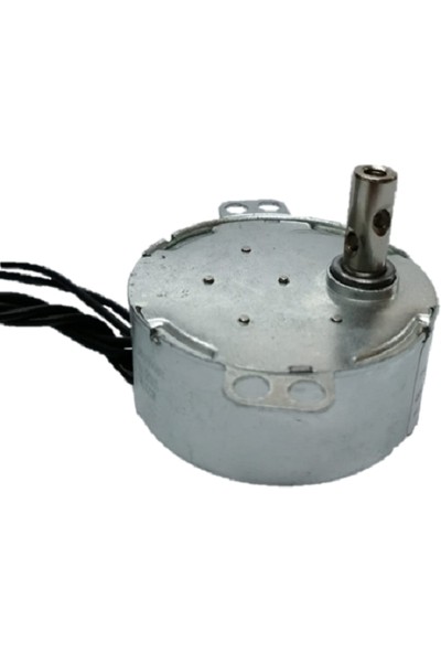 Ikon Ac Senkron Motor TYC50 20 Rpm 4W, Viyol Motoru, Elektrikli Şömine Motoru, TYC50 20RPM Cw, Tek Yön Dönüşlü Motor Ikon Ac Senkron Motor TYC50 20 Rpm 4W, Viyol Motoru, Elektrikli Şömine Motoru, TYC50 20RPM Cw, Tek Yön Dönüşlü Motor