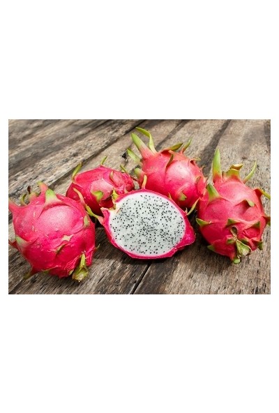 Ejdercim - Beyaz Ejder Meyvesi (Pitaya) - 250 - 350 gr Ejdercim - Beyaz Ejder Meyvesi (Pitaya) - 250 - 350 gr