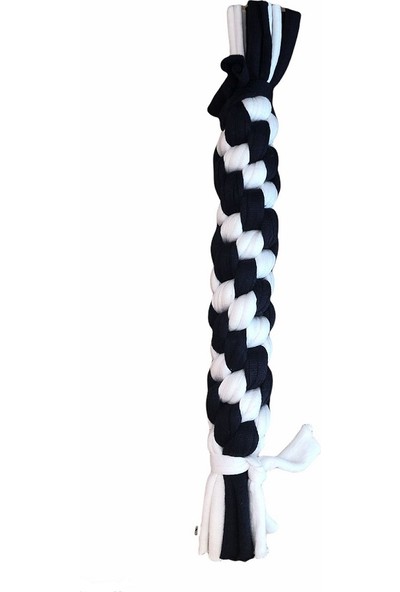 Pasha Pet Köpekler Için Diş Ipi Lacivert-Beyaz 22 cm Pasha Pet Köpekler Için Diş Ipi Lacivert-Beyaz 22 cm